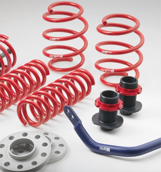 Products | H&R Special Springs, LP.
